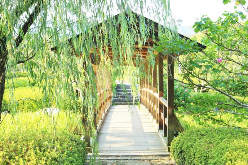 SHIKOKU GUIDE - Complete Shikoku Tourism Information Site