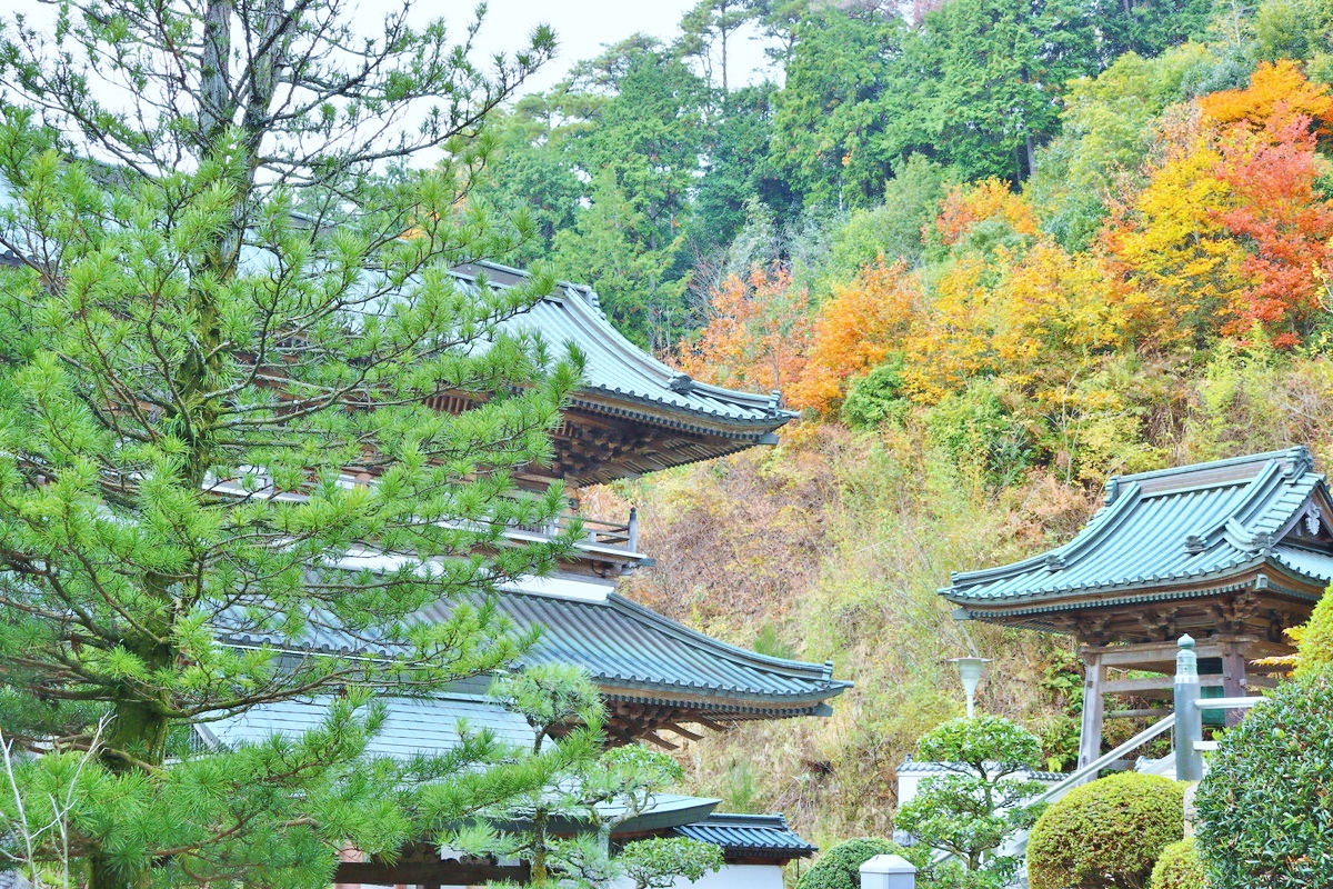 SHIKOKU GUIDE - Complete Shikoku Tourism Information Site