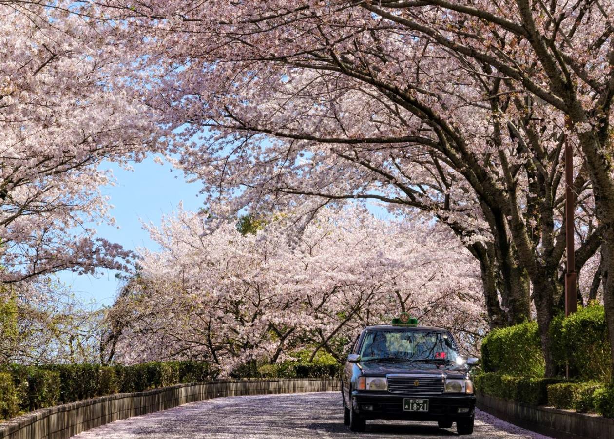 SHIKOKU GUIDE - Complete Shikoku Tourism Information Site