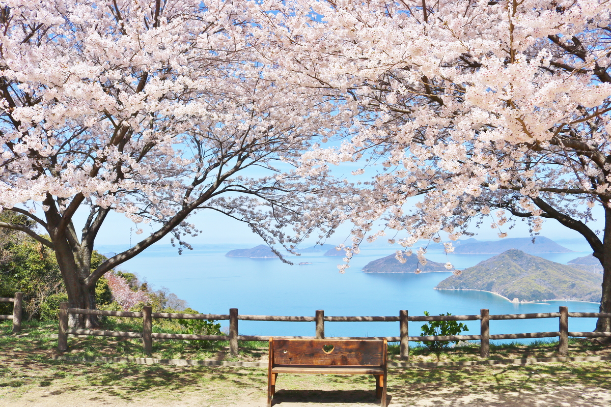 SHIKOKU GUIDE - Complete Shikoku Tourism Information Site