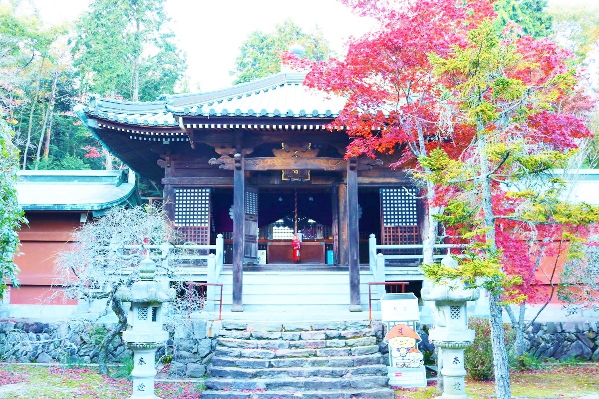 SHIKOKU GUIDE - Complete Shikoku Tourism Information Site